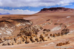 Salar de Tara, um dos passeios encantadores do Atacama - Nerds Viajantes